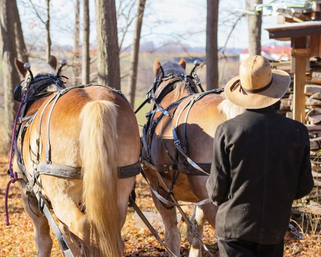 History - Miller Tech